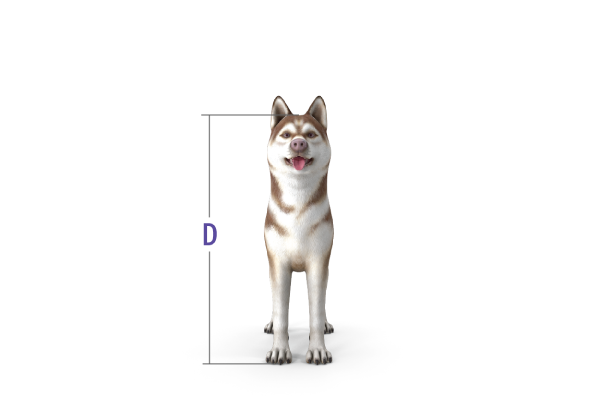 Accurate Pet Measurements: Essential for Hassle-Free Travel